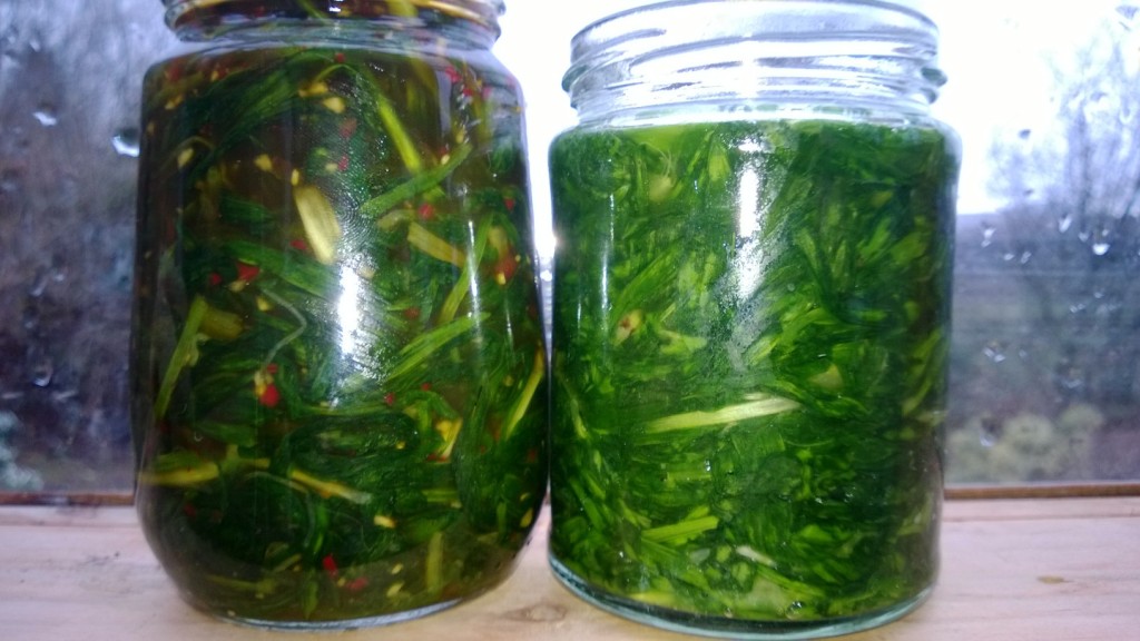 Lacto-fermented Fresh Herbs - Insane in the Brine