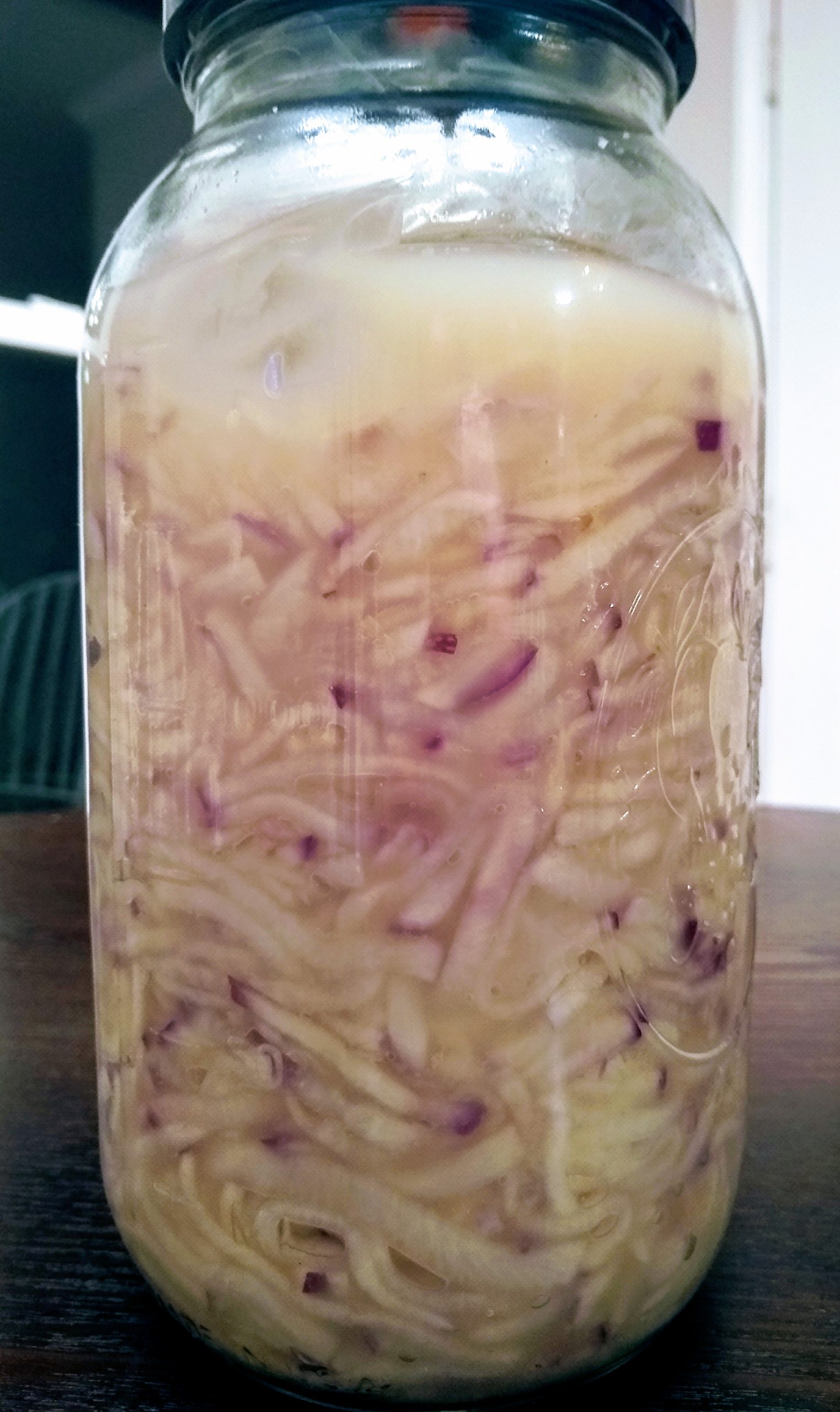 Sauerruben (Fermented Turnips) - Insane in the Brine