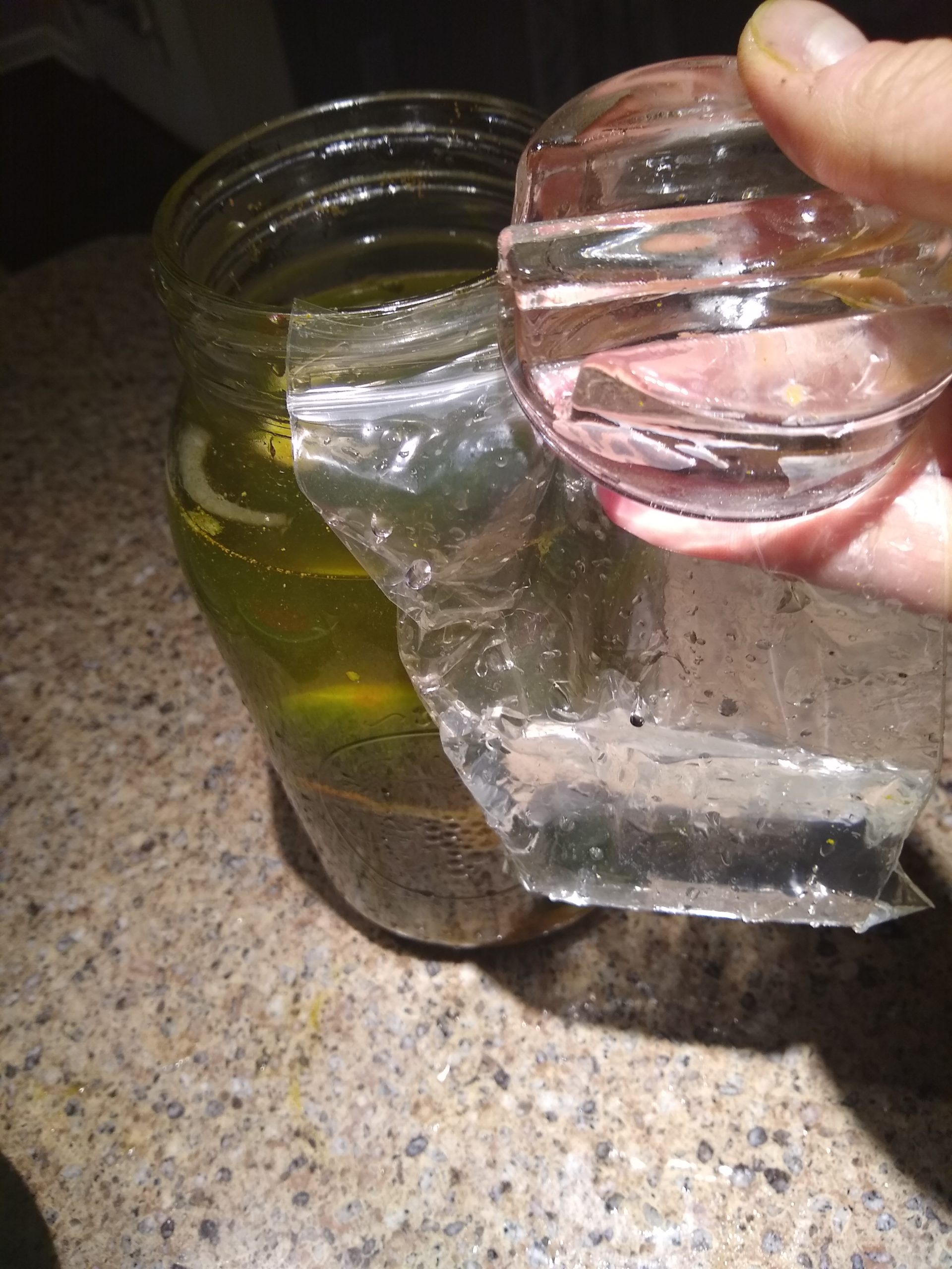 Autoimmune Protocol (AIP) Fermented Pickles - Insane in the Brine