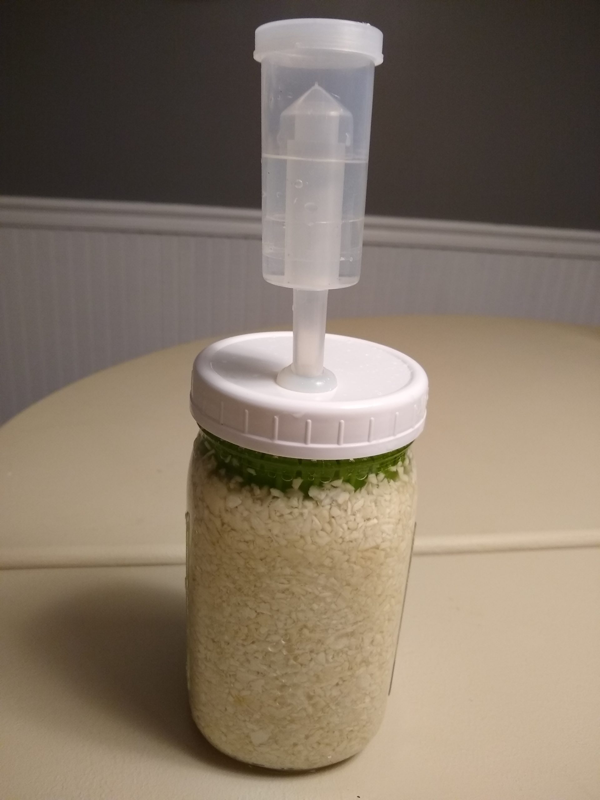 How to Make Fermented Horseradish (and traditional vinegared option ...