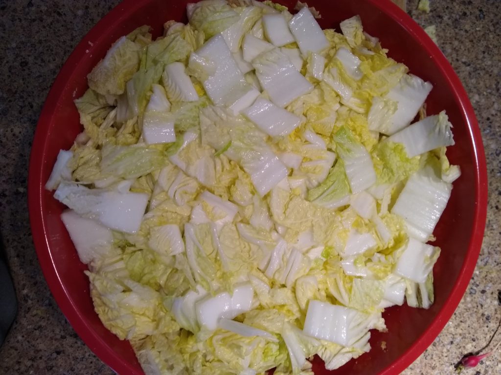 cabbage_salted-1 - Insane in the Brine