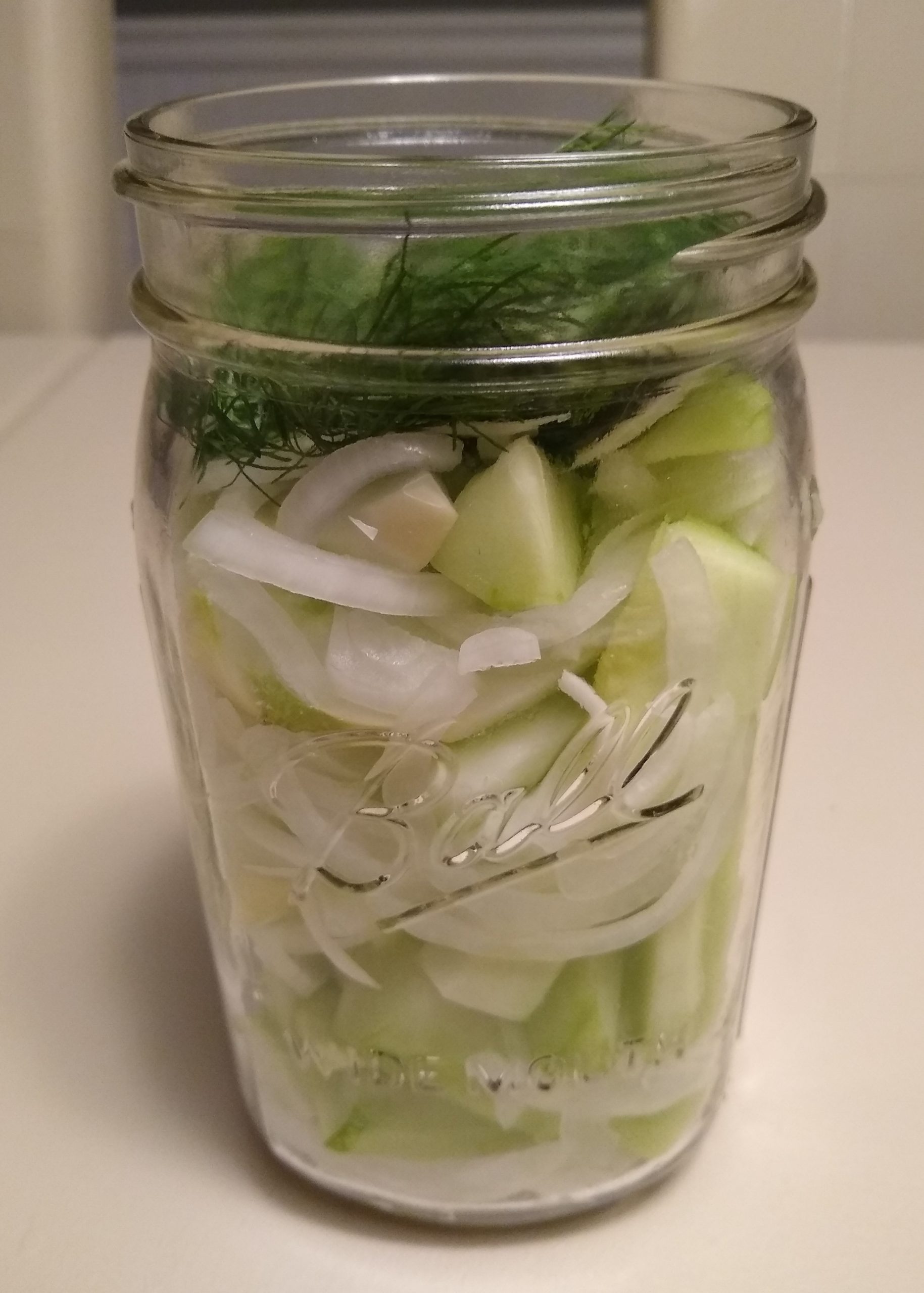 Senfgurken (German Mustard Pickles) - Insane in the Brine