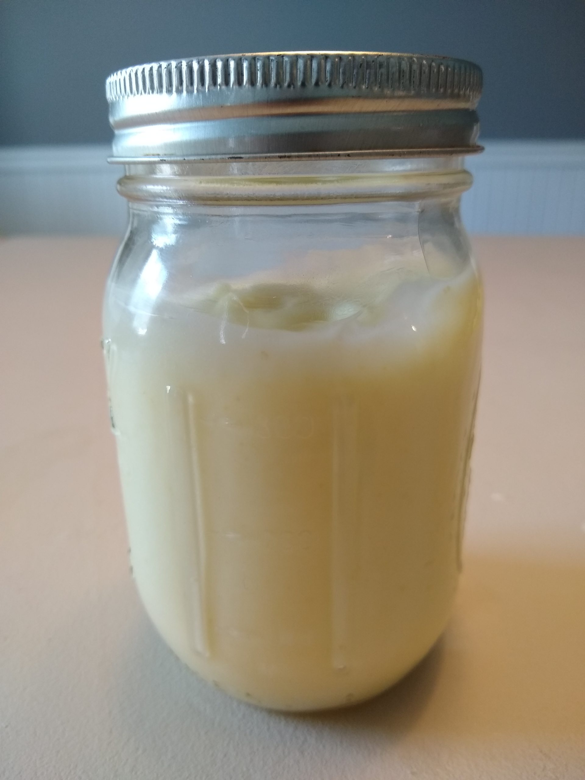How to Make Quick and Easy Paleo Mayo - Insane in the Brine