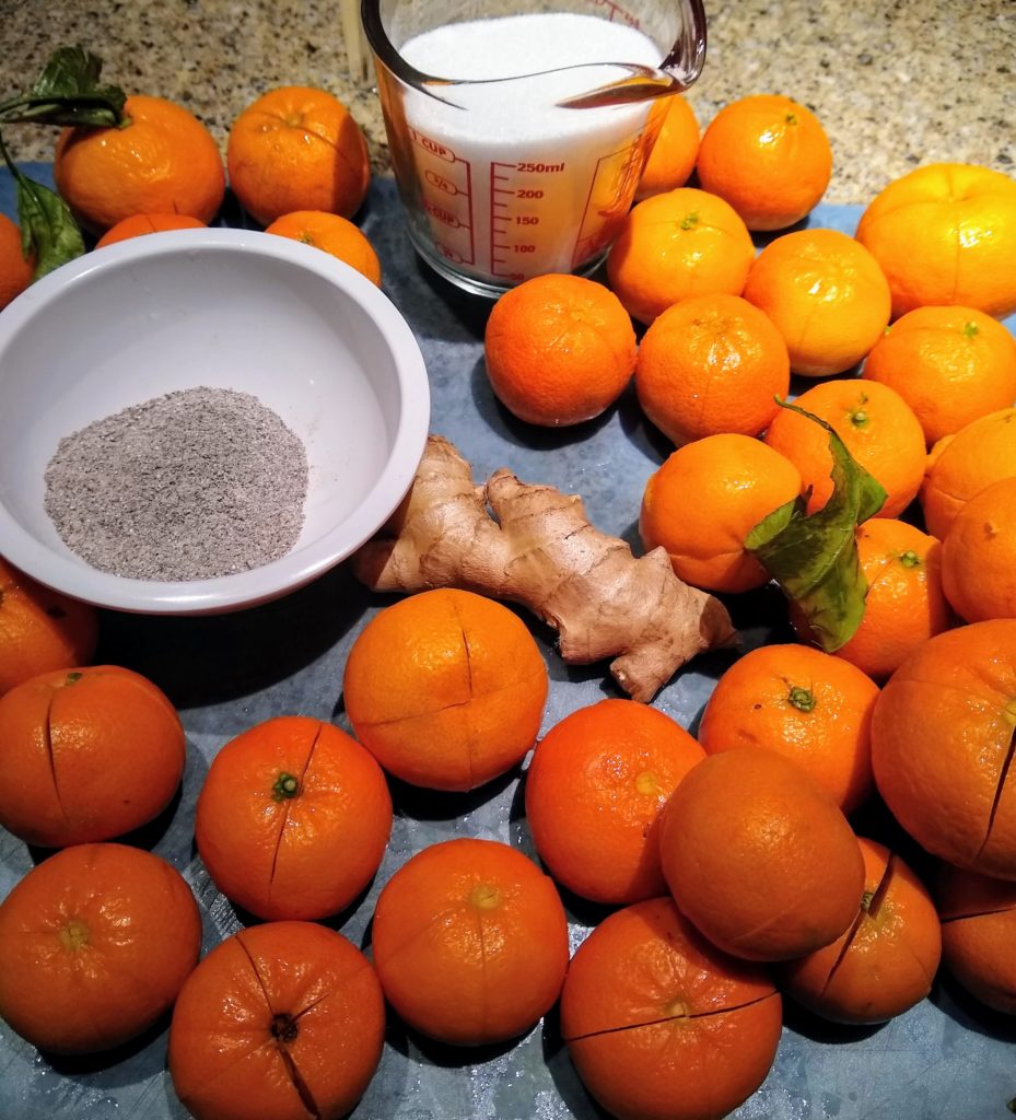 Salt-Preserved Citrus - Insane in the Brine