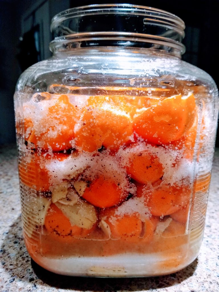 Salt-Preserved Citrus - Insane in the Brine