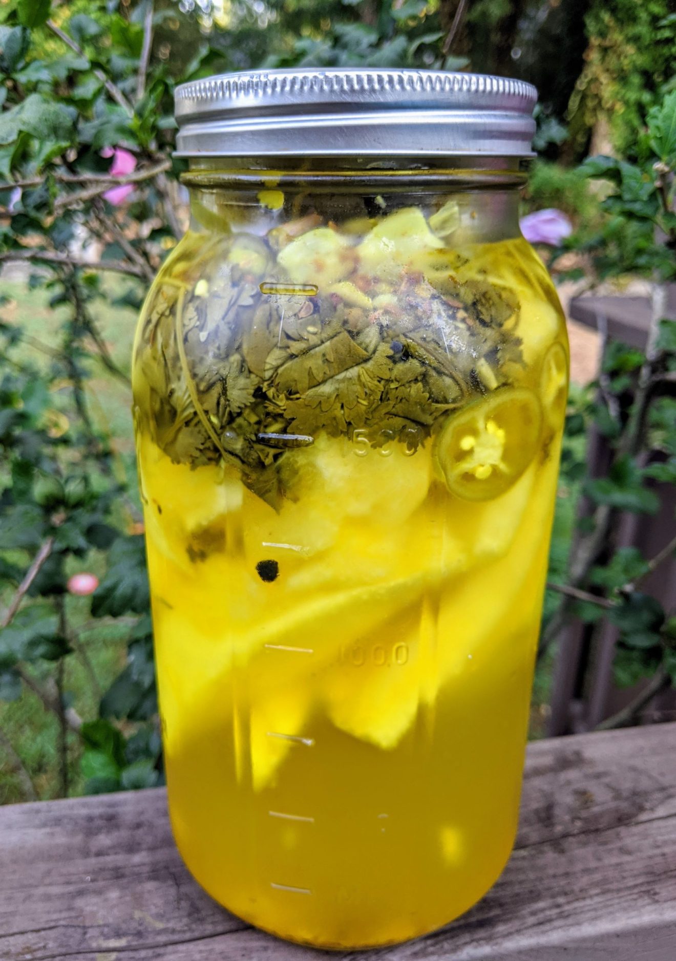 Cilantro-Lime-Jalapeno Watermelon Rind Pickles - Insane in the Brine