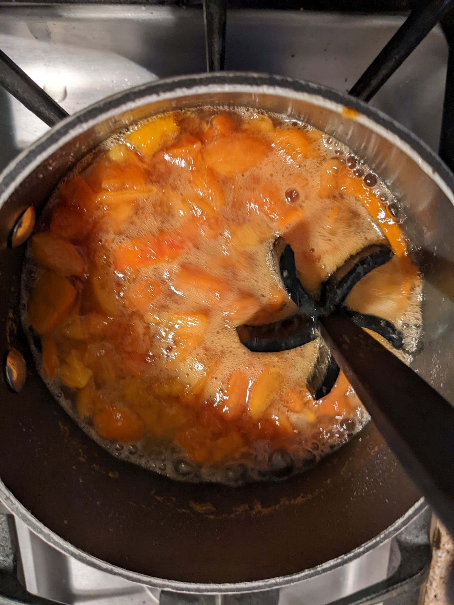 Persimmon Simple Syrup - Insane in the Brine