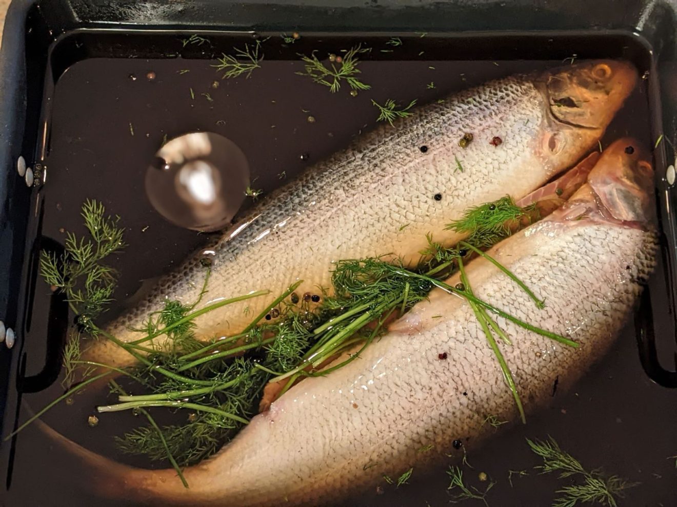 Complete Guide to Making Smoked Whitefish - Insane in the Brine